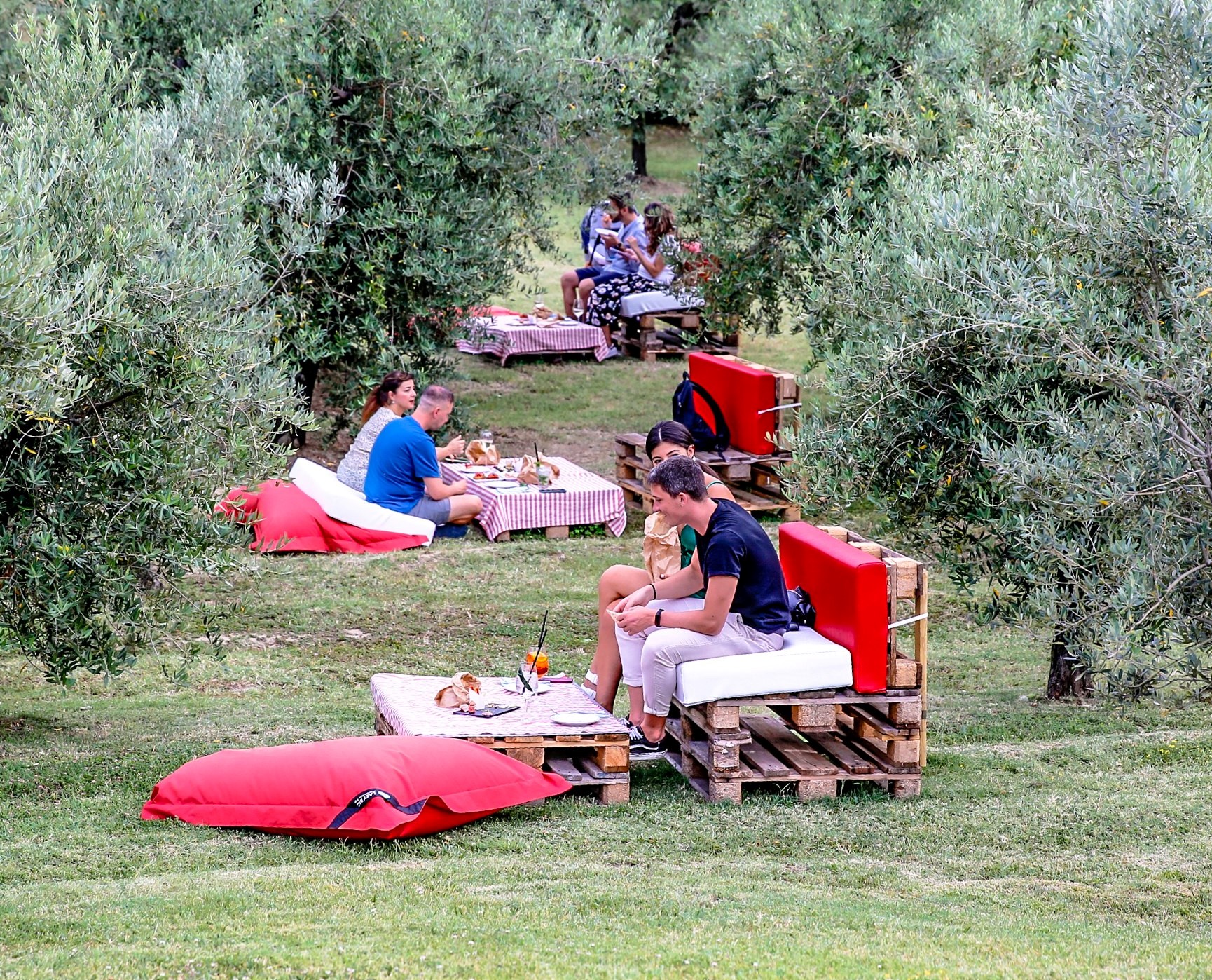 Sotto le Fresche Frasche, l'aperitivo tra gli ulivi - BoLOVEgna